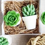 15 Best Cactus Gifts (to Prickle a Cactus Lover's Fancy) » All Gifts ...