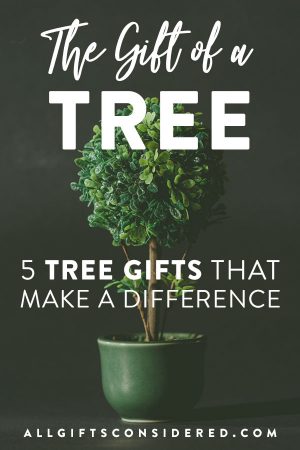The Gift of a Tree: 5 Tree Gifts That Make a Difference » All Gifts ...