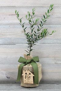 The Gift of a Tree: 5 Tree Gifts That Make a Difference » All Gifts ...
