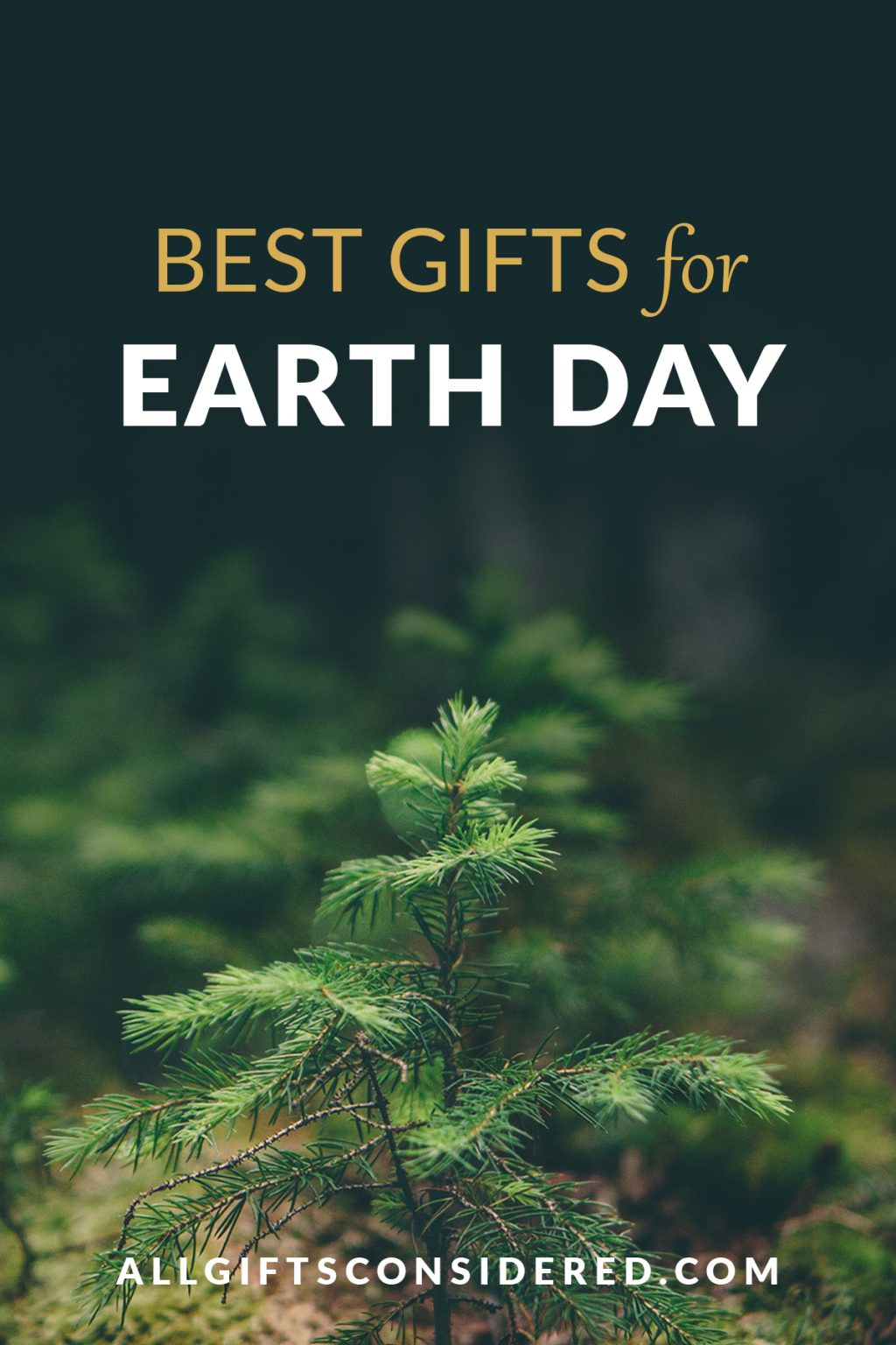 25 Best Earth Day Gifts (Sustainable, Thoughtful, Beautiful) » All ...